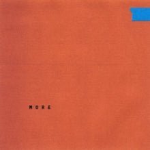 Wallows - More (Record Store Day 2025) Vinyl LP - GOOD TASTE Records